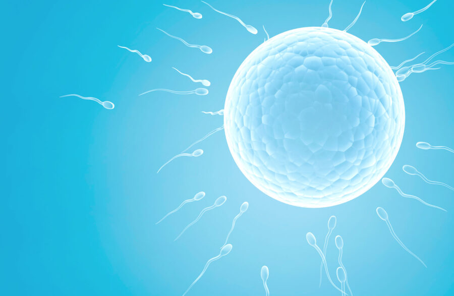 Nidation: quand a-t-elle lieu?