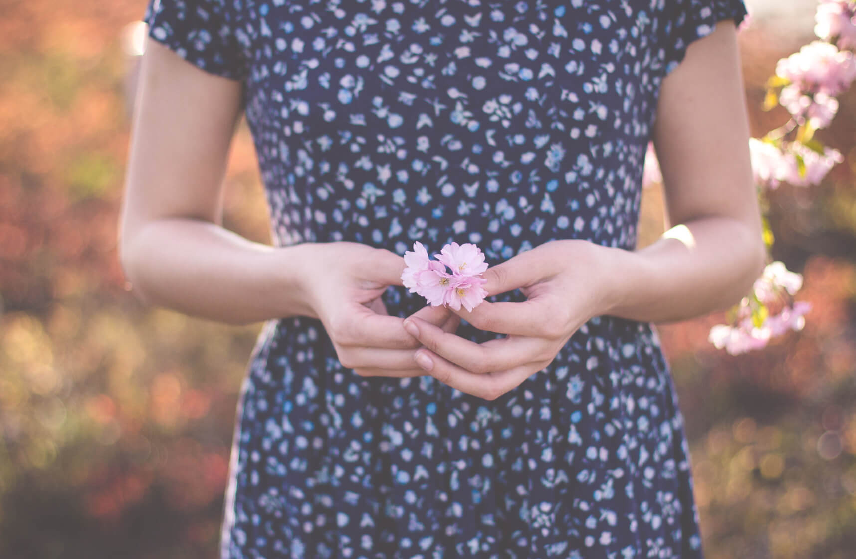 What Every Woman Should Know About Her Luteal Phase